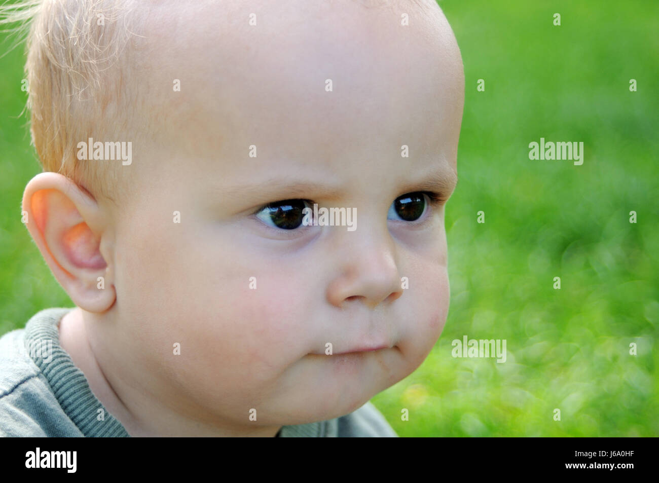 curious nosey nosy look glancing see view looking peeking looking at ...