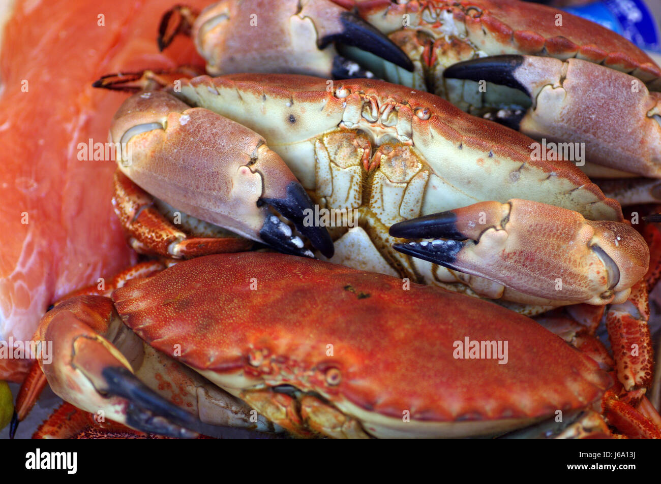 cancer brittany seafood cancers offer live weekly market marketplace ...