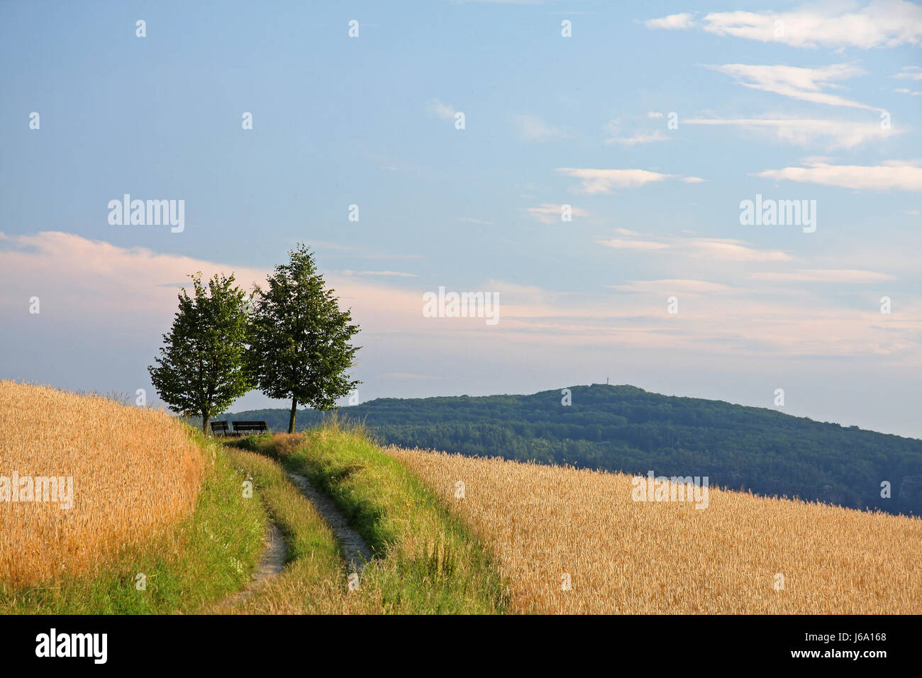 way to roost Stock Photo - Alamy