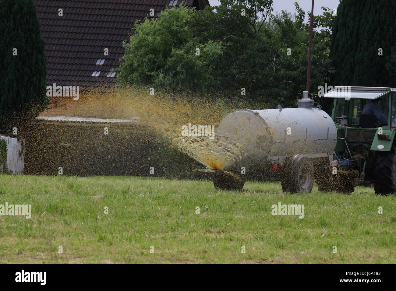 manure is spread on the lawn Stock Photo - Alamy