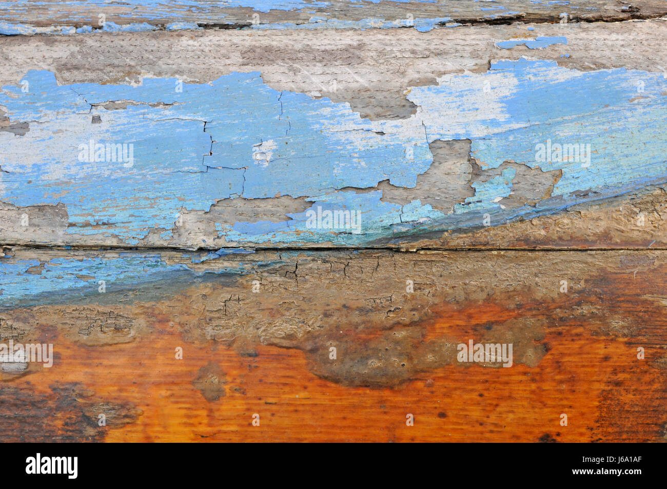 blue colour wood coloured colourful gorgeous multifarious richly ...