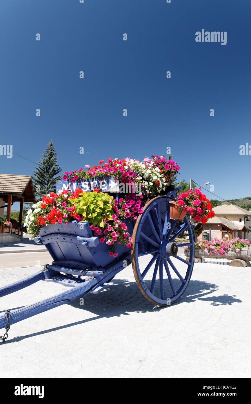 agriculture farming flower flowers plant wheels firmament sky ...