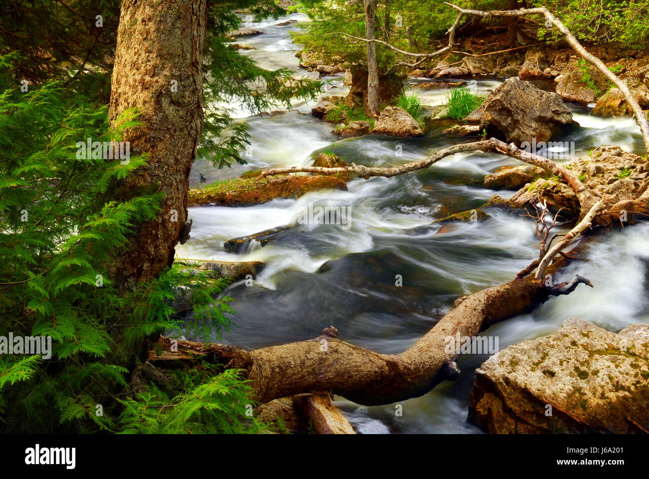 Cascading rapid white rushing water hi-res stock photography and images ...