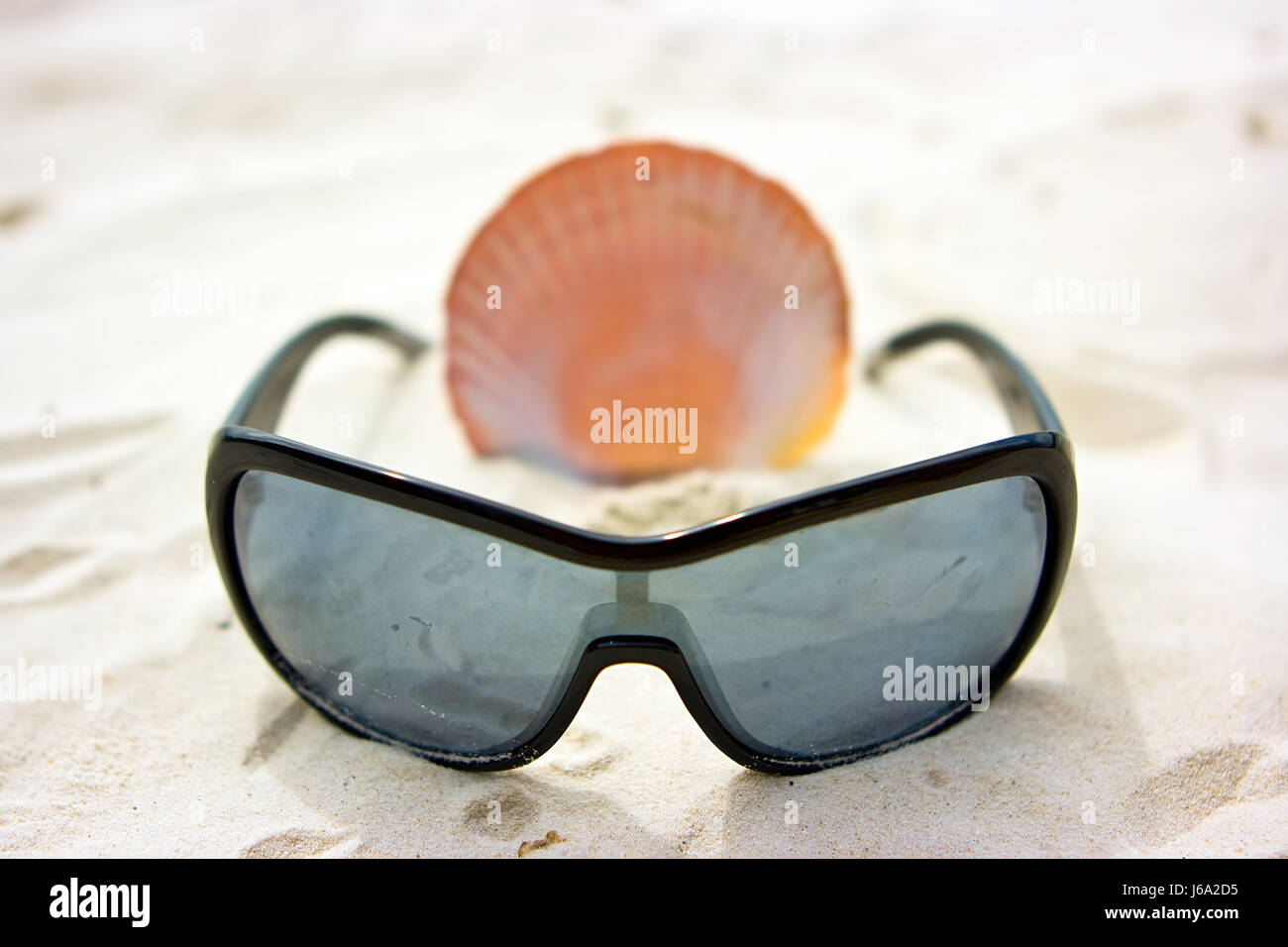 beach seaside the beach seashore shell spectacles glasses eyeglasses ...