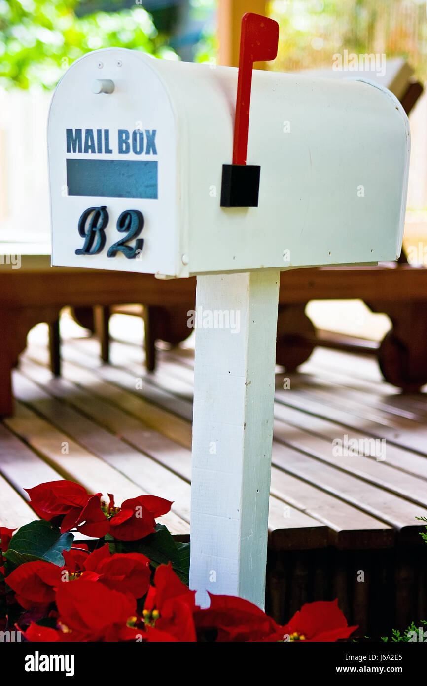 mailbox letter box mail message white flower plant flag tropical shine ...