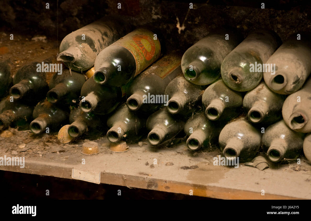 dust wine bottle bottles cellar spider webs drunk up dust wine dirt ...