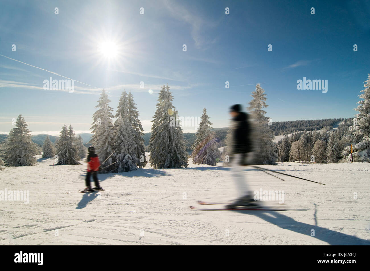 winter winter sports winter landscape exit snow shine shines bright ...