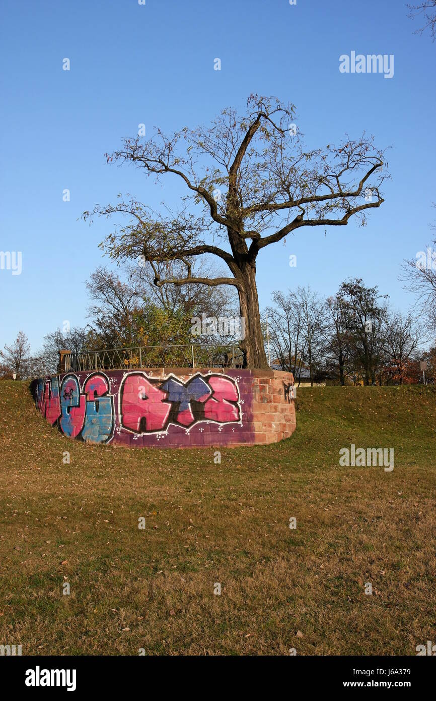 tree painting daub graffiti grafitti colour colors colours nature art ...
