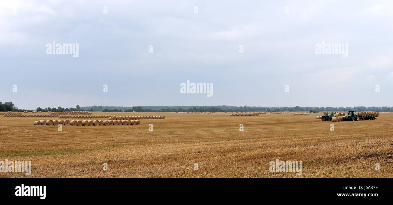 agriculture farming cultivation mecklenburg east germany german federal ...