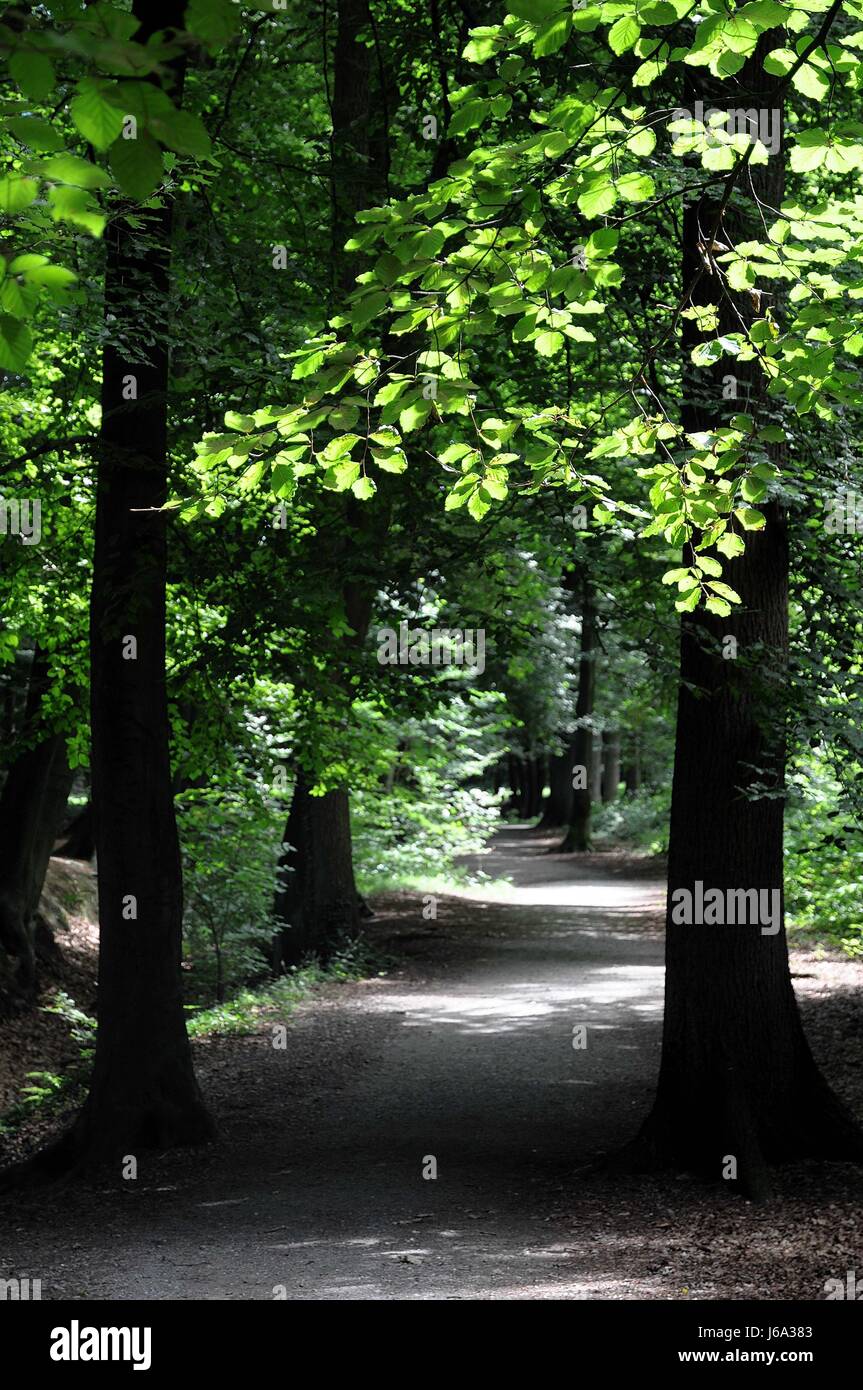 way in the open Stock Photo - Alamy