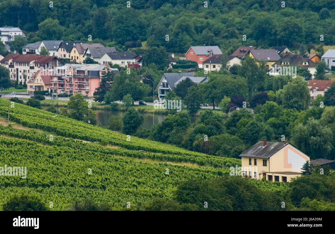 house building houses vineyards summer summerly hills community village ...