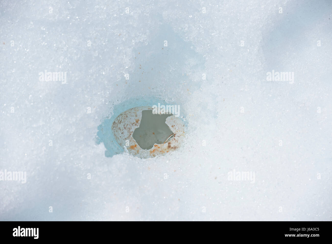 Predated egg hi-res stock photography and images - Alamy