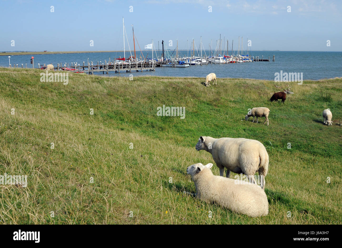 Rantum Dam High Resolution Stock Photography and Images - Alamy