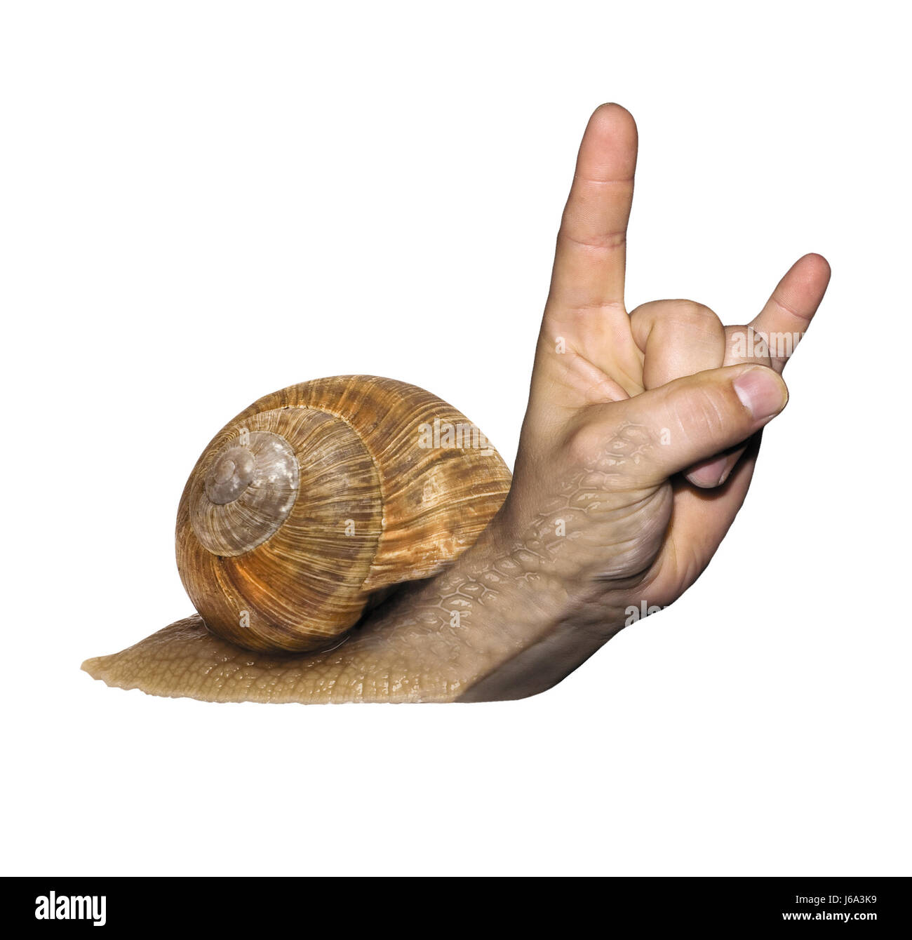 Rare rock Cut Out Stock Images & Pictures - Alamy