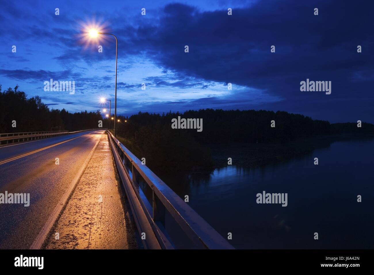 tree trees night nighttime lights horizontal photography photo picture ...