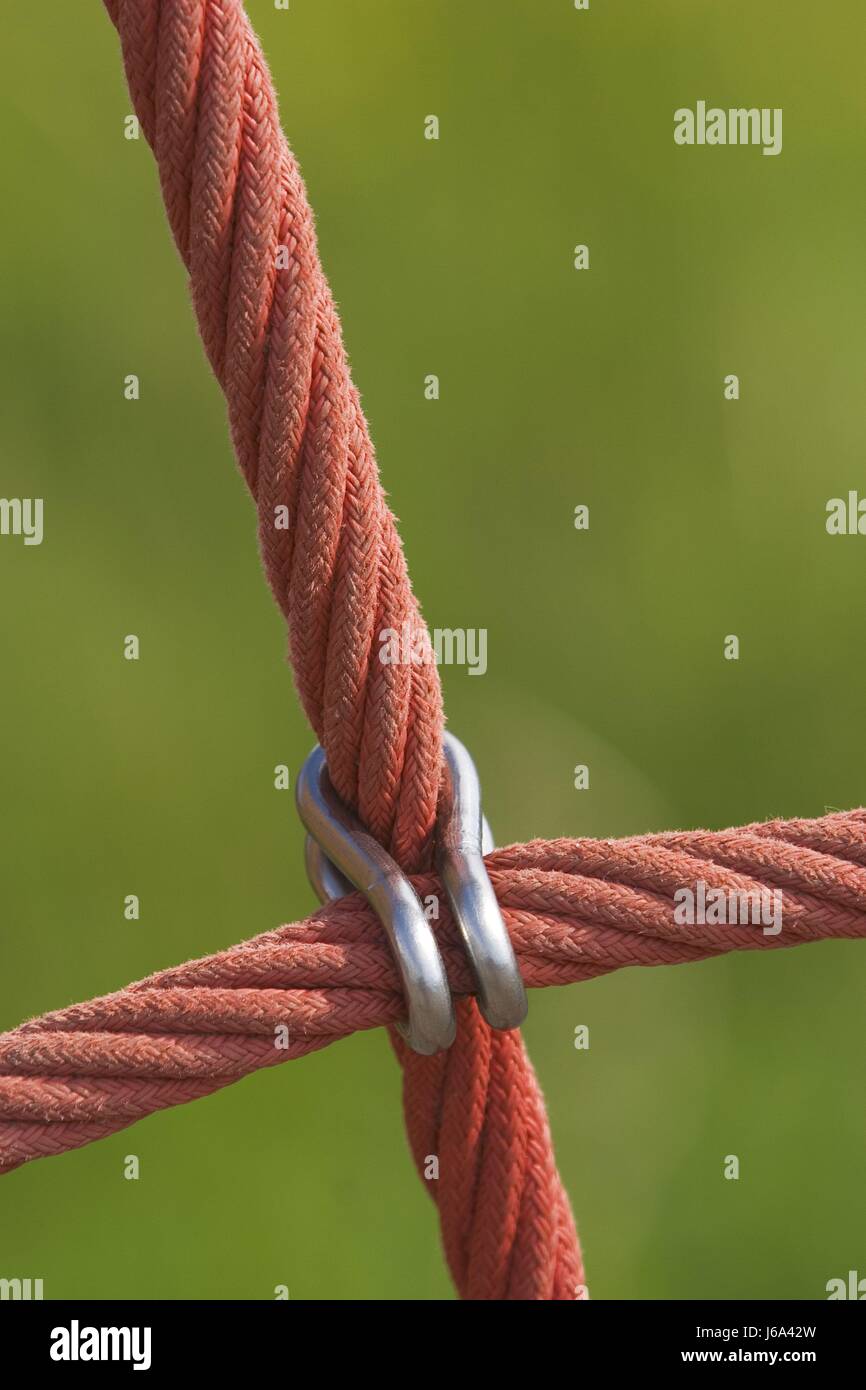 look glancing see view looking peeking looking at photography photo ...