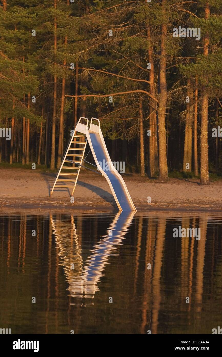 environment enviroment tree trees reflection photography photo picture ...