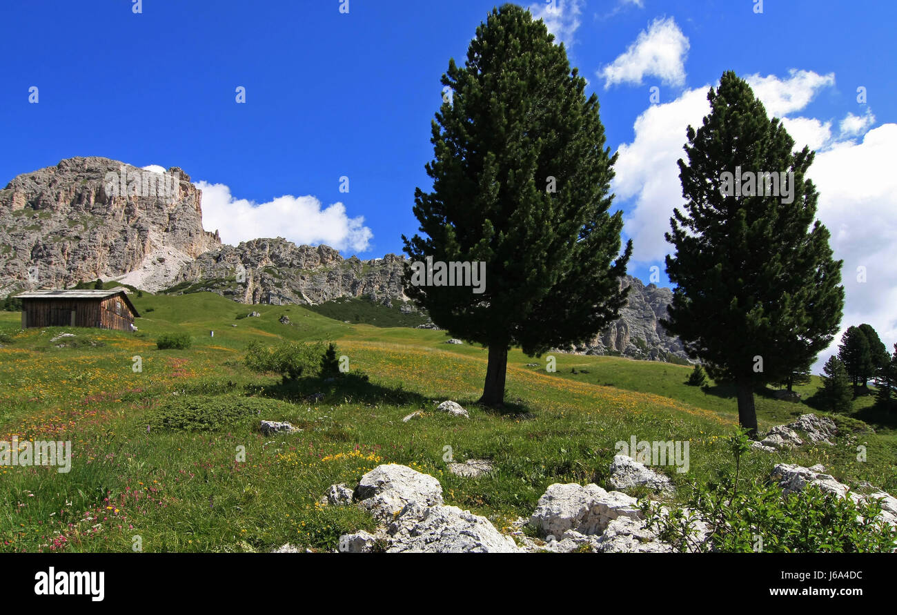 summer in the alps Stock Photo - Alamy