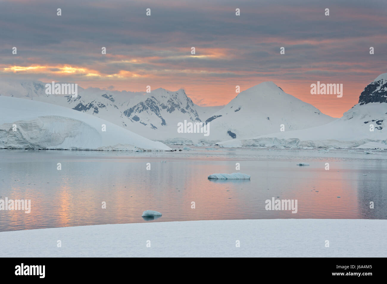 Antarctic Peninsula, Antarctica Stock Photo - Alamy