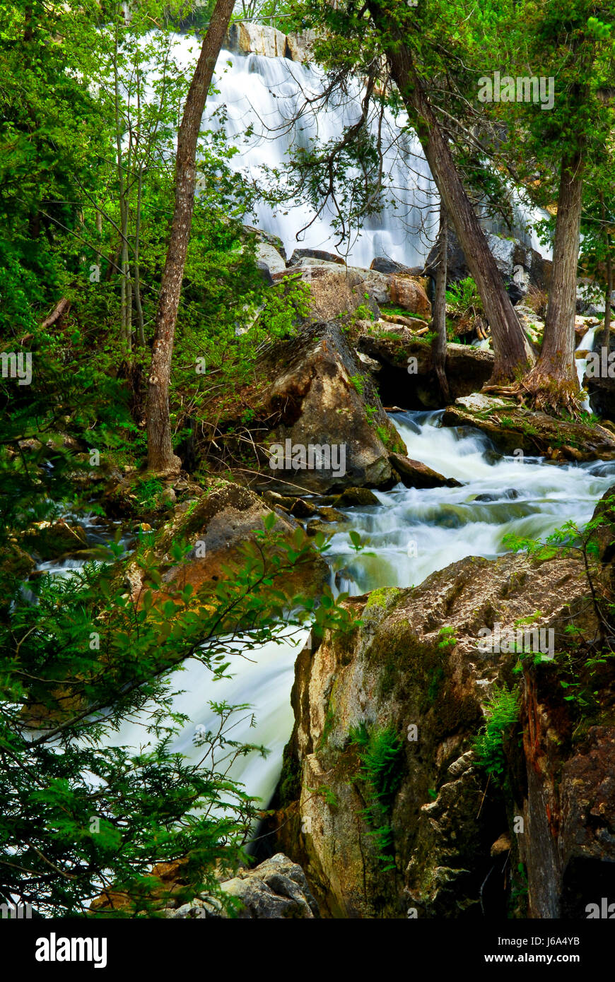 tree trees waterfall boulders rapids rocks river water blue environment ...