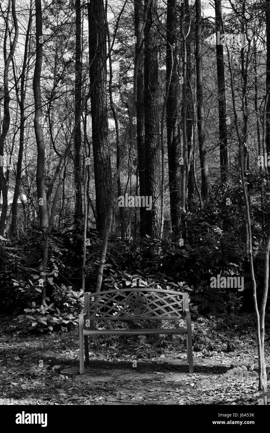 Bench with woods hi-res stock photography and images - Alamy