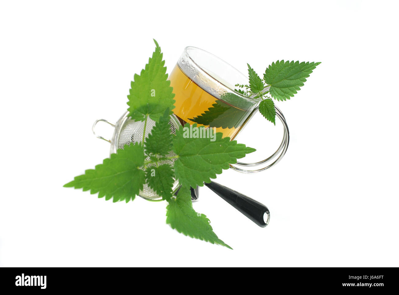 Brennesseltee hi-res stock photography and images - Alamy