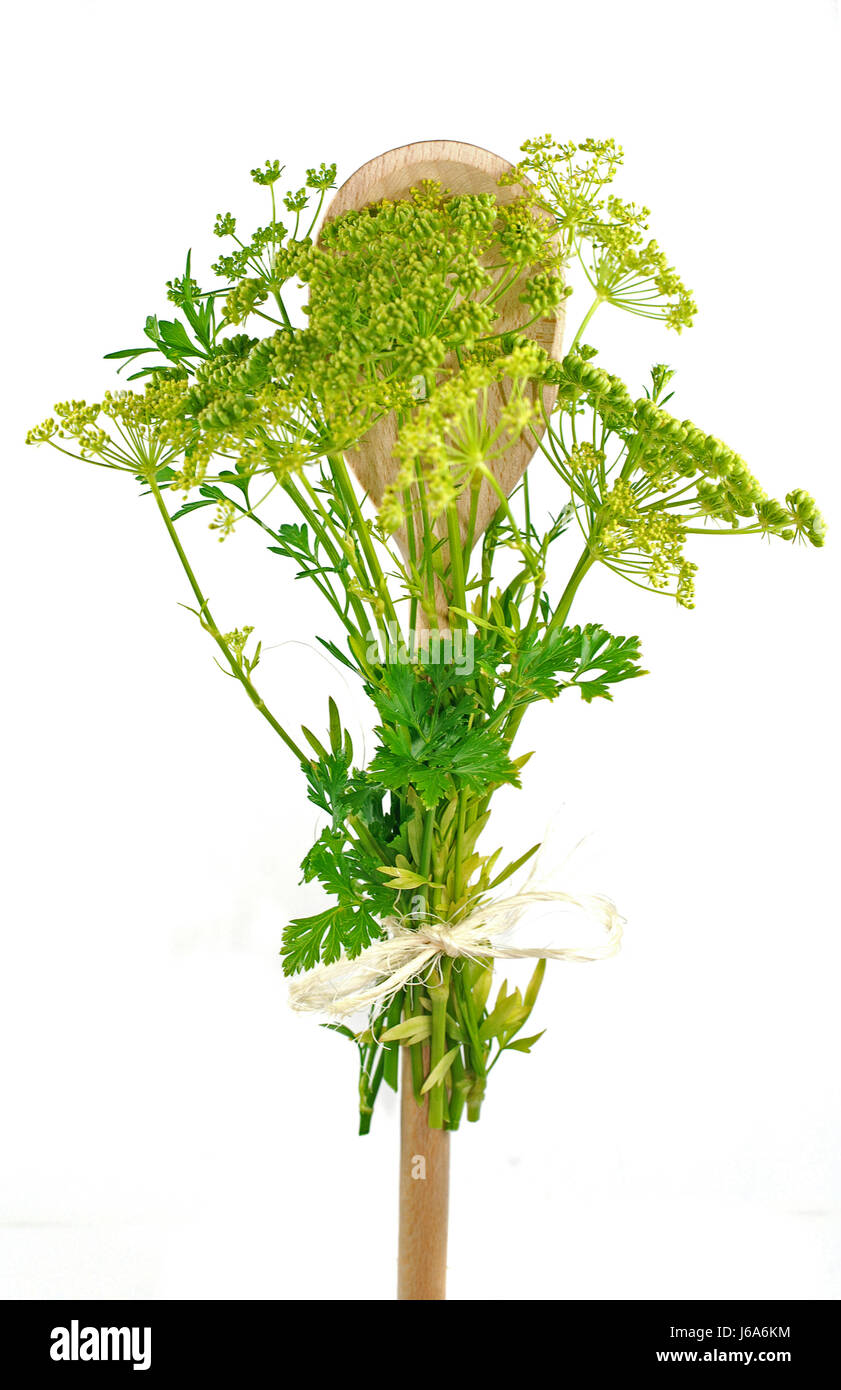 spice green blossoms boil cooks boiling cooking bound tied smooth ...