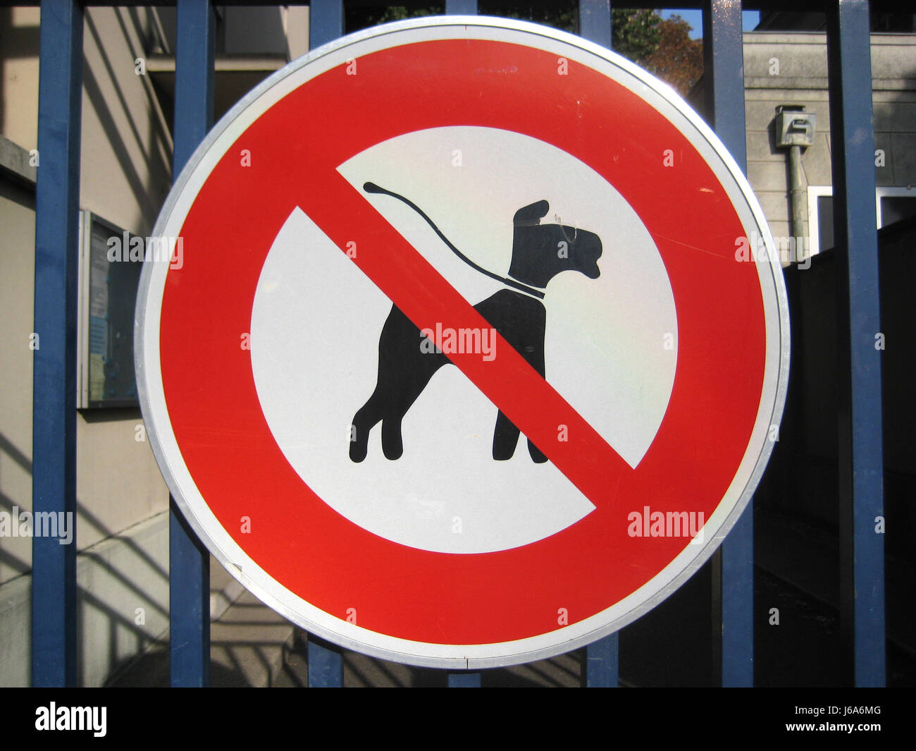 sign signal dogs traffic sign ban prohibition sign sign signal animal ...