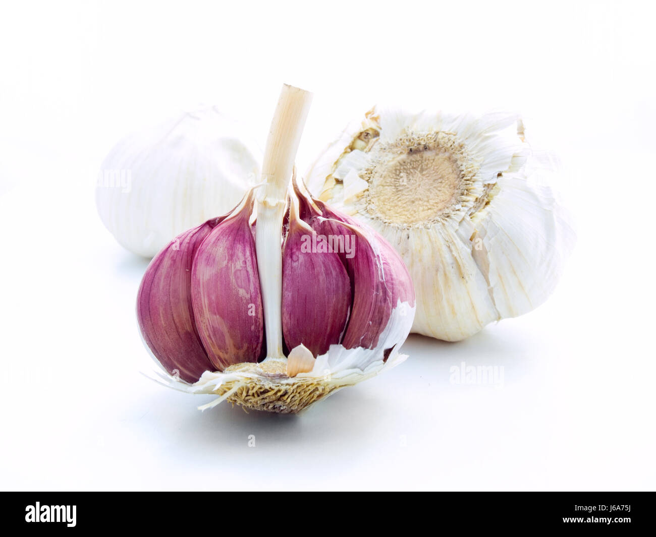 garlic vampire antibacterial healthy head food aliment leaf objects ...