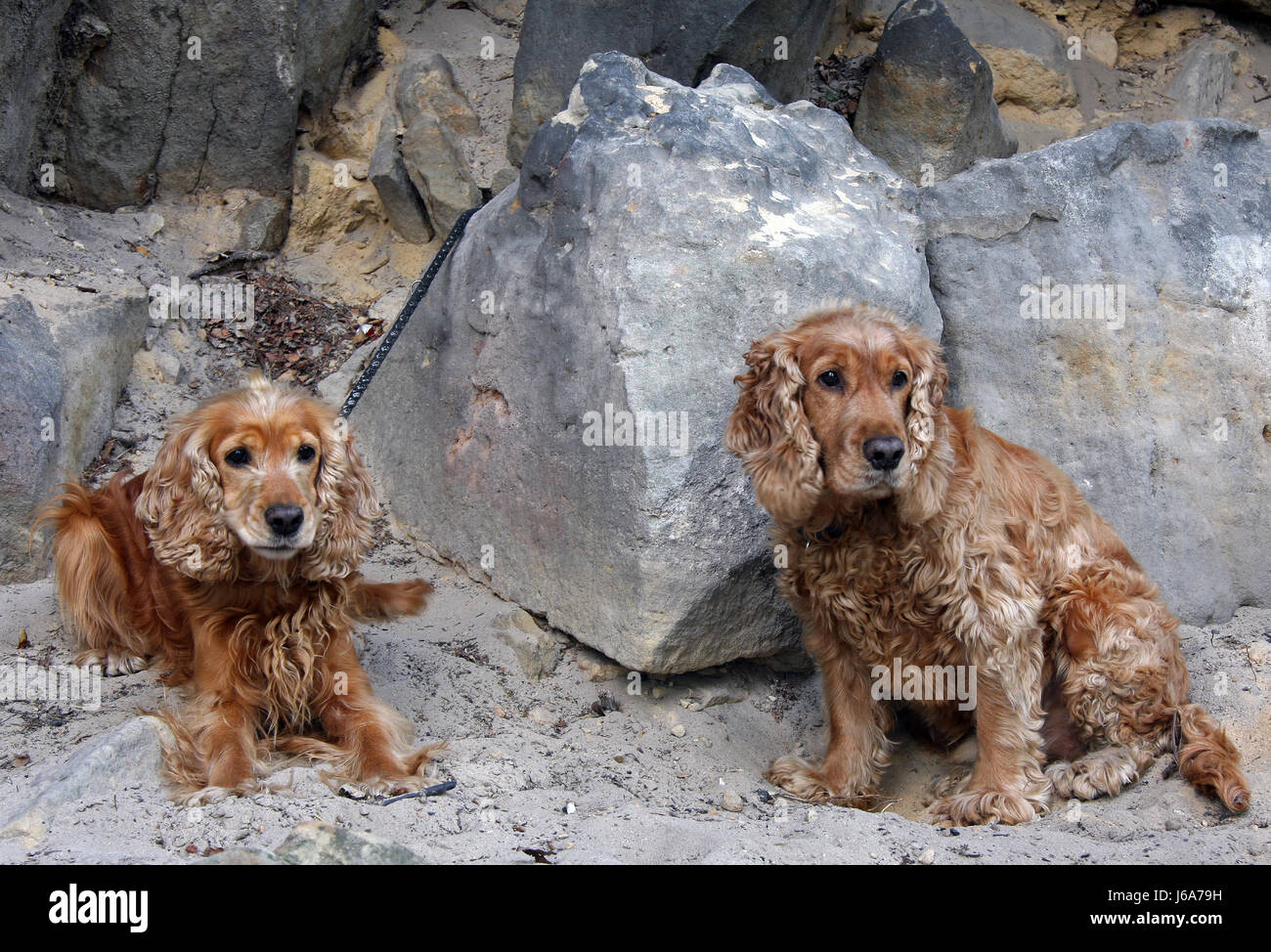 pretty duo on mountain tour Stock Photo - Alamy