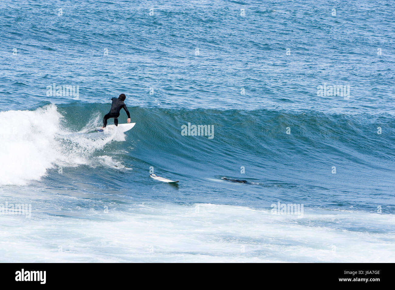sport sports beach seaside the beach seashore surfing surf salt water ...