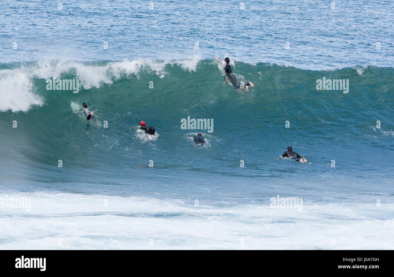sport sports beach seaside the beach seashore surfing surf salt water ...