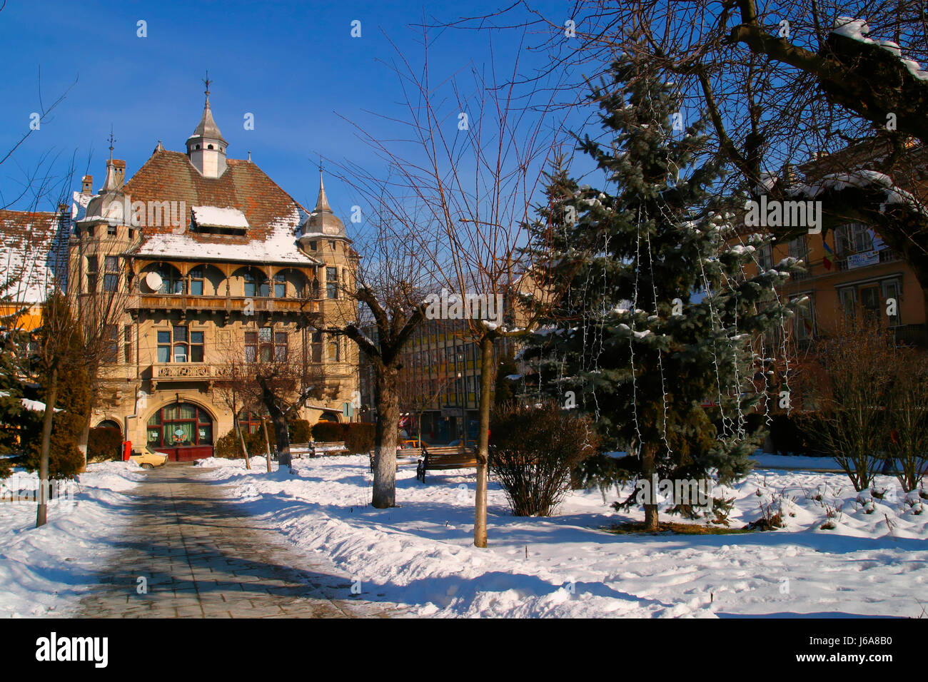 travel city town tree trees winter arctic snow coke cocaine material ...