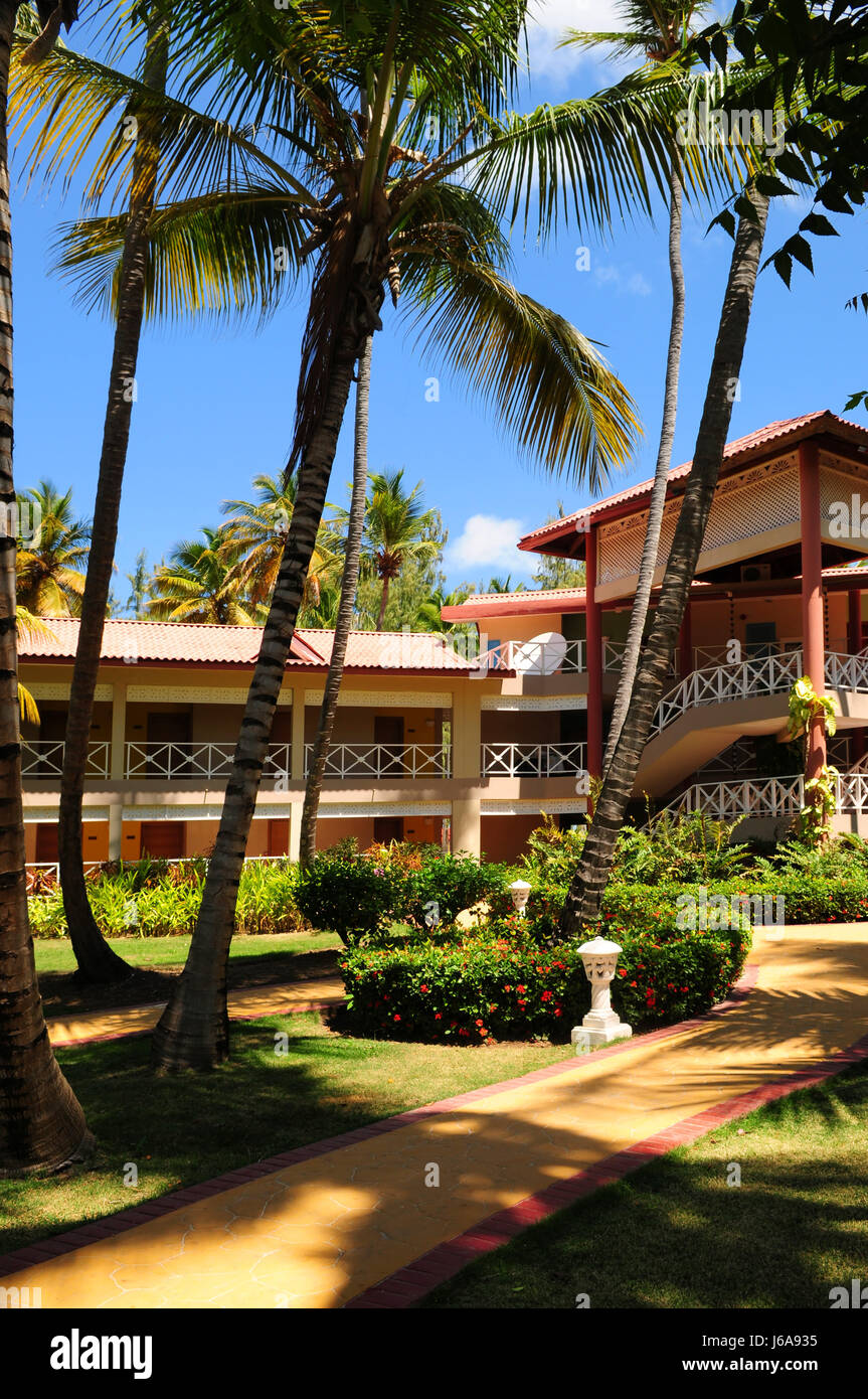 tree trees beach seaside the beach seashore tropical palm resort ...