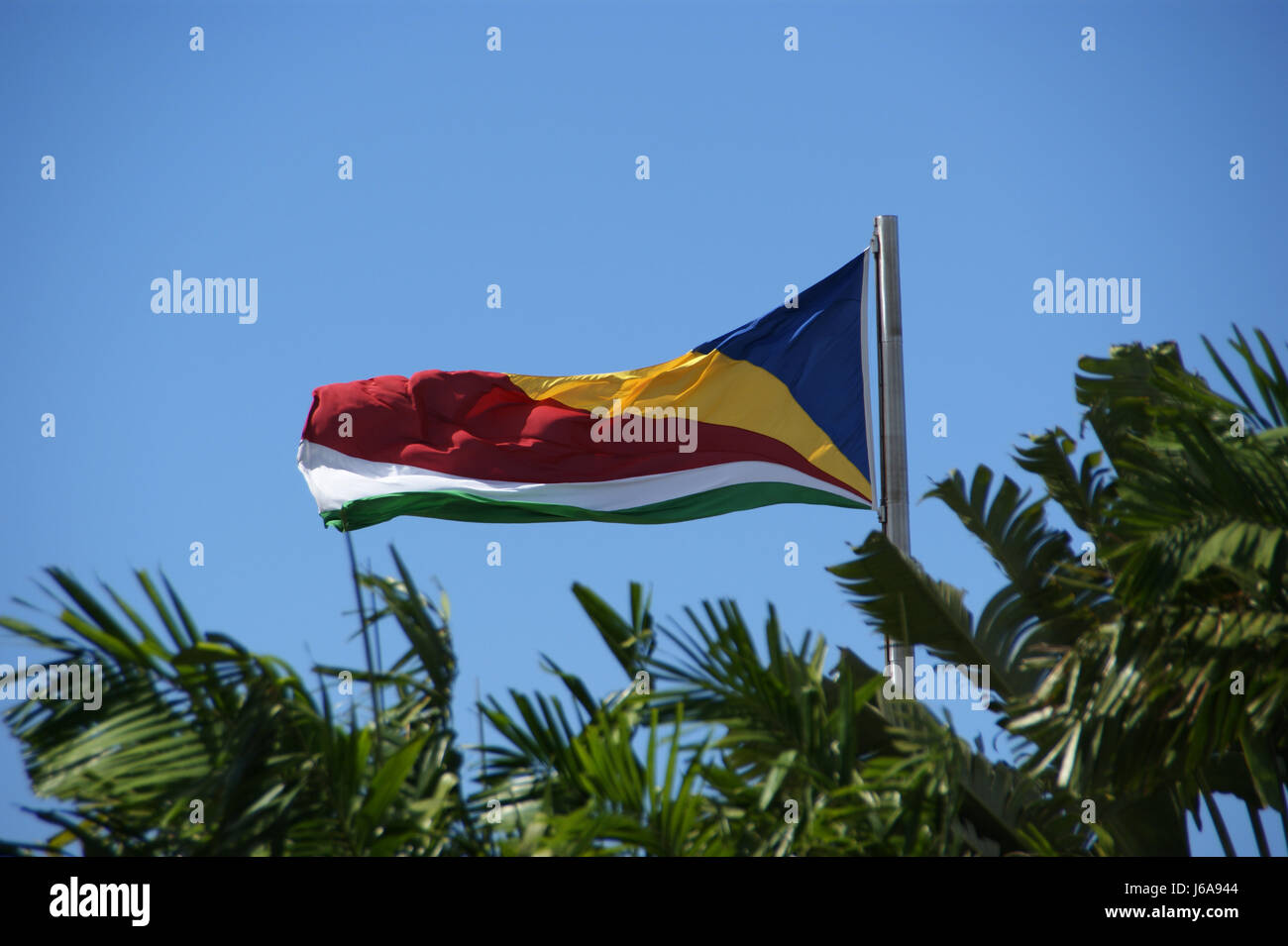flag of seychelles Stock Photo - Alamy