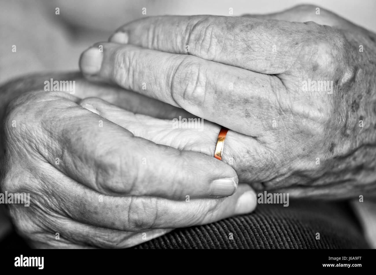 hand hands ring old fingers elderly gold senior senior citizen elderly ...