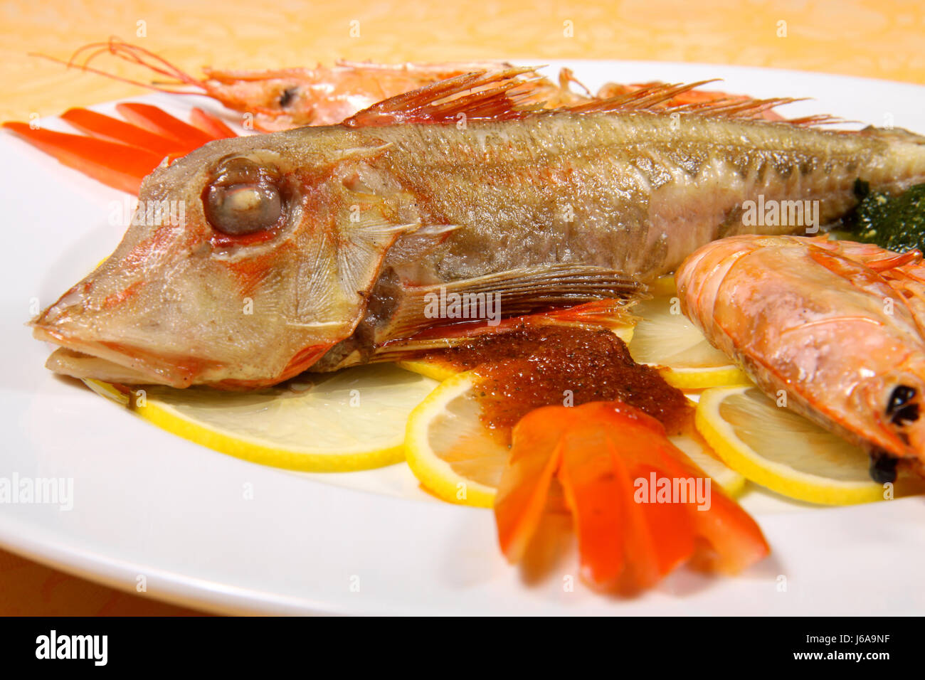 Gurnard plate hi-res stock photography and images - Alamy