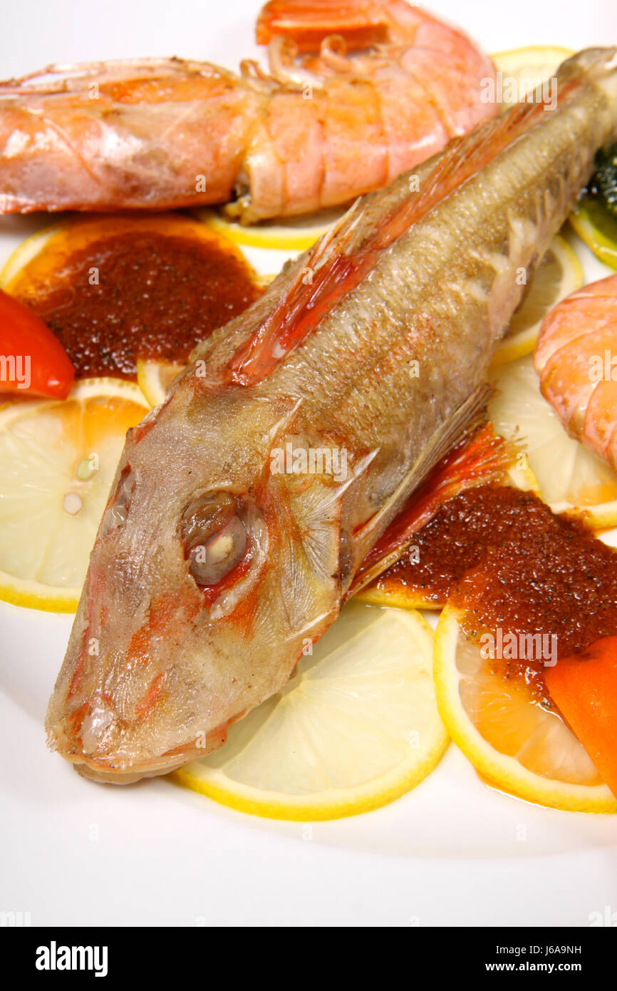 Gurnard plate hi-res stock photography and images - Alamy
