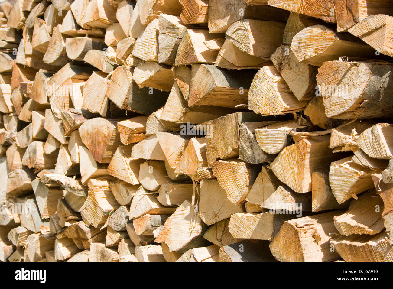 tree wood raw material fuel forestry blue tree industry wood trunk ...