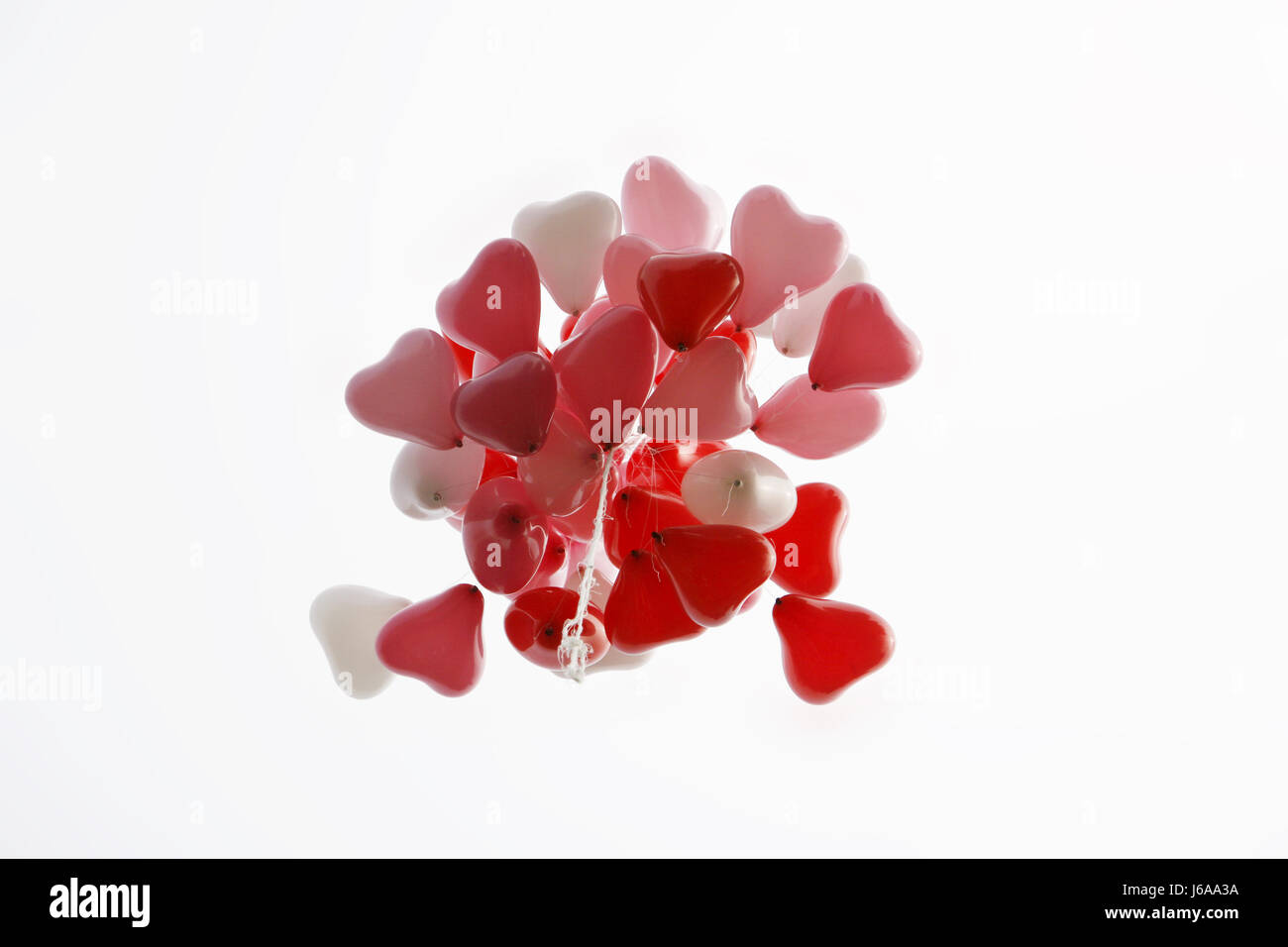 worms eye blank european caucasian perspective prospect balloon ballon ...