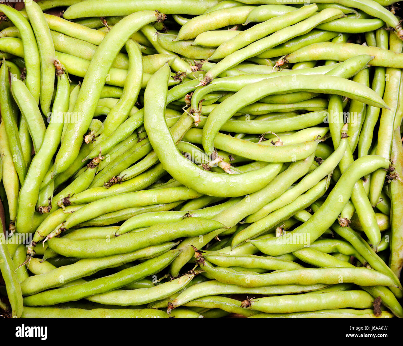 food aliment green vegetable pod produce grocery bean fabricate healthy ...