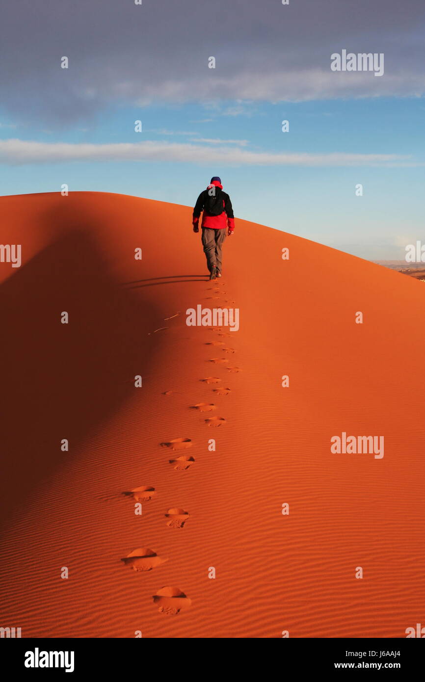 humans human beings people folk persons human human being walk go going ...