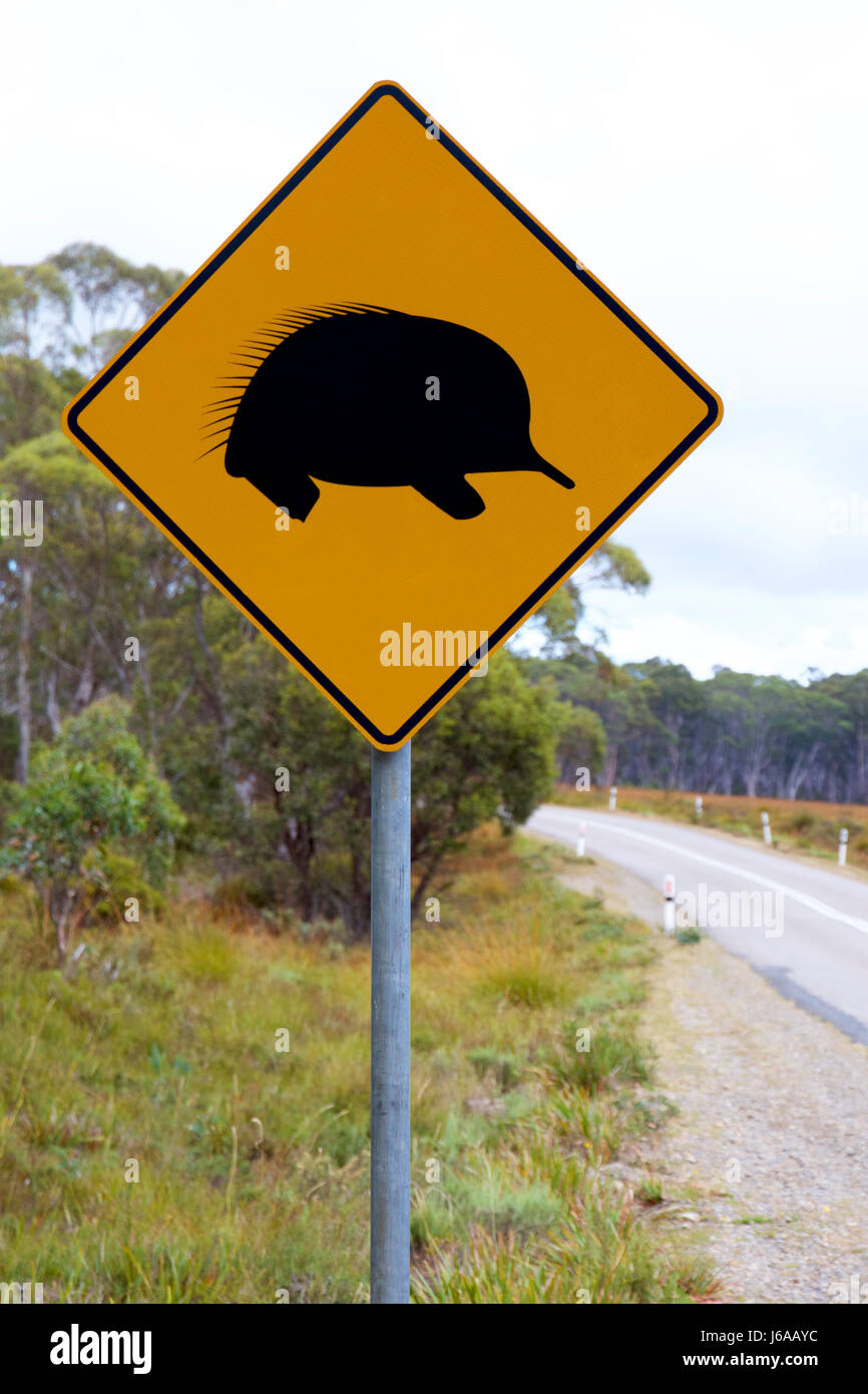 Wombat warning sign hi-res stock photography and images - Alamy