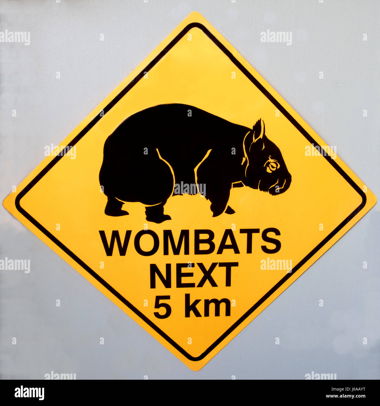 Wombat sign beside a road, Tasmania, Australia Stock Photo - Alamy
