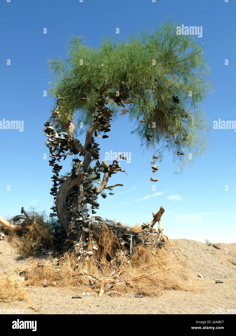 shoe tree on route 66 Stock Photo - Alamy