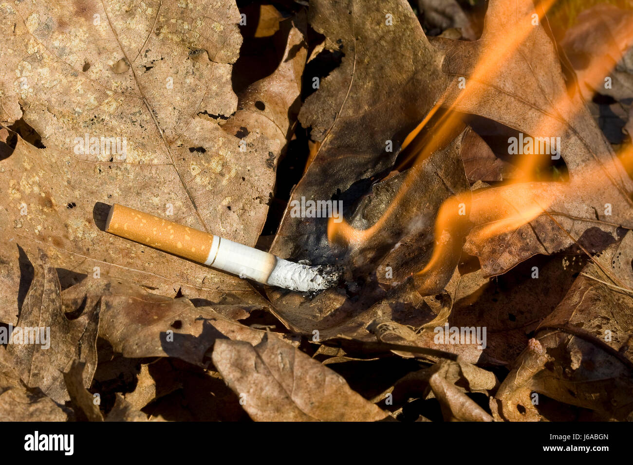 smoke smoking smokes fume cigarette leaves fire conflagration burn ...