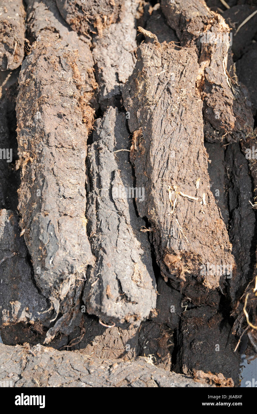 Torfballen hi-res stock photography and images - Alamy