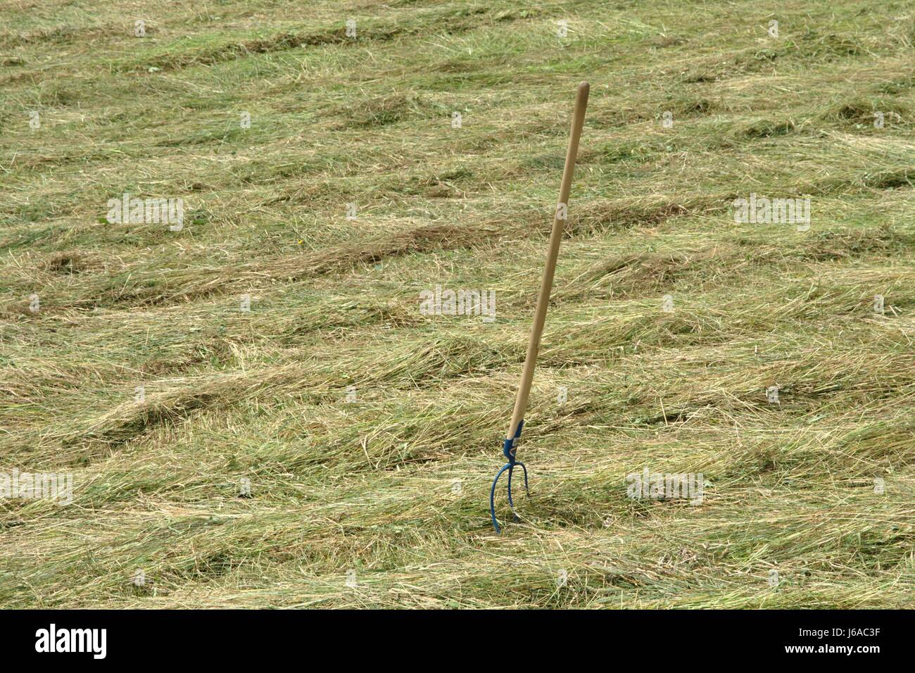 Hay fork hi-res stock photography and images - Alamy