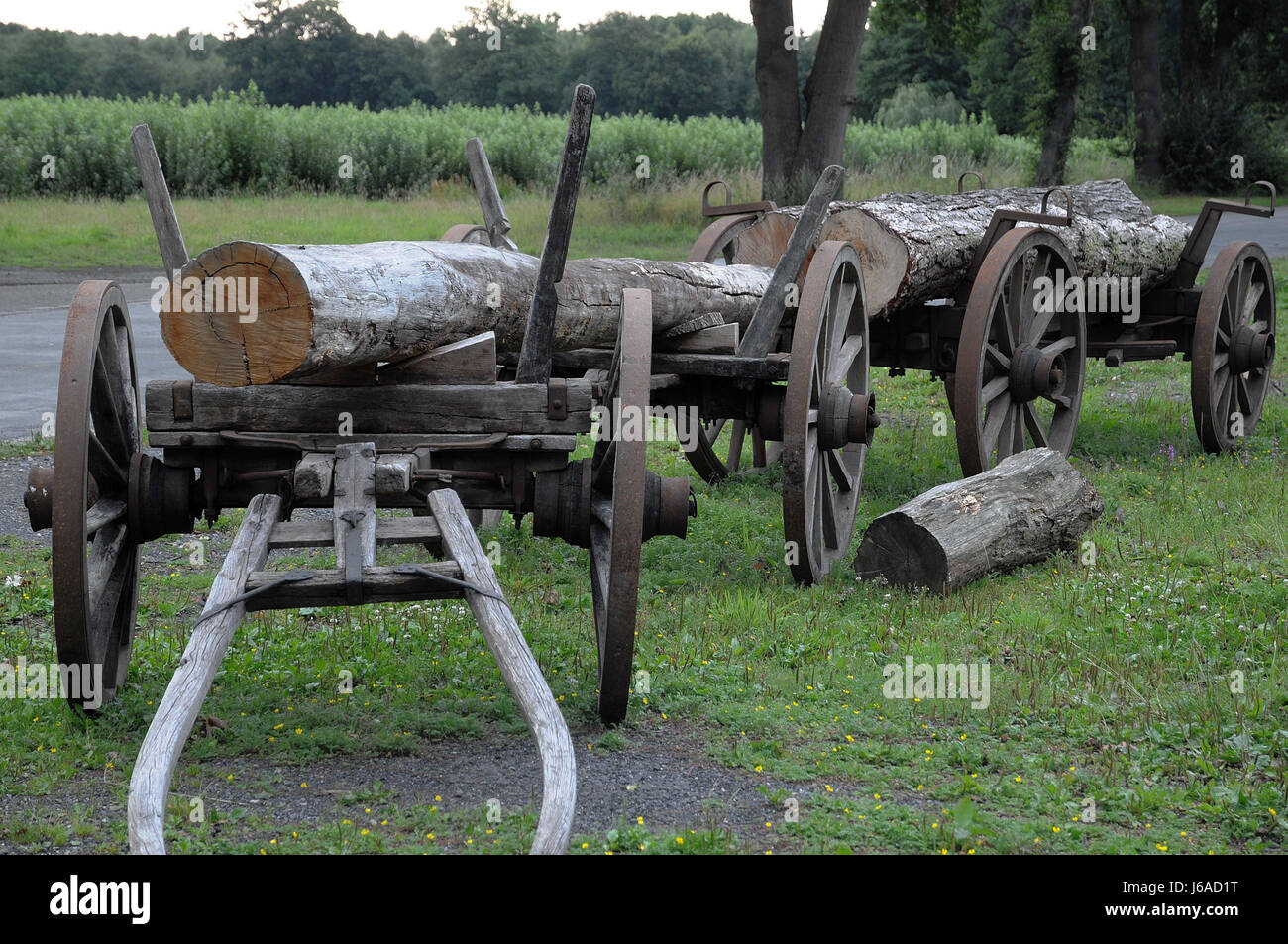 tree trees wood transport cart tree trees wood wheels transport ...