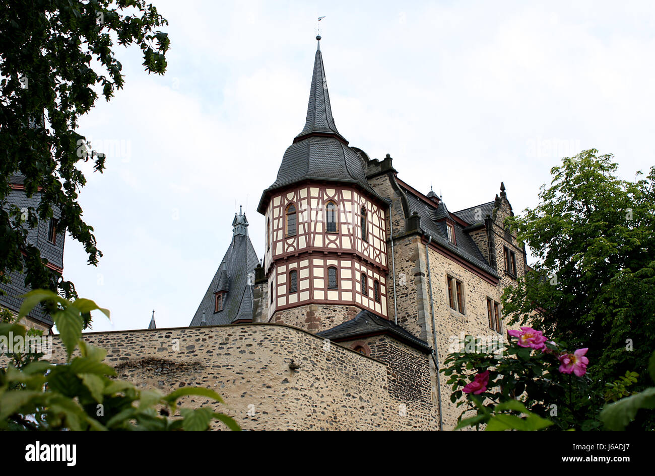 tower frame-work watchtower chateau castle tower tree stone window ...